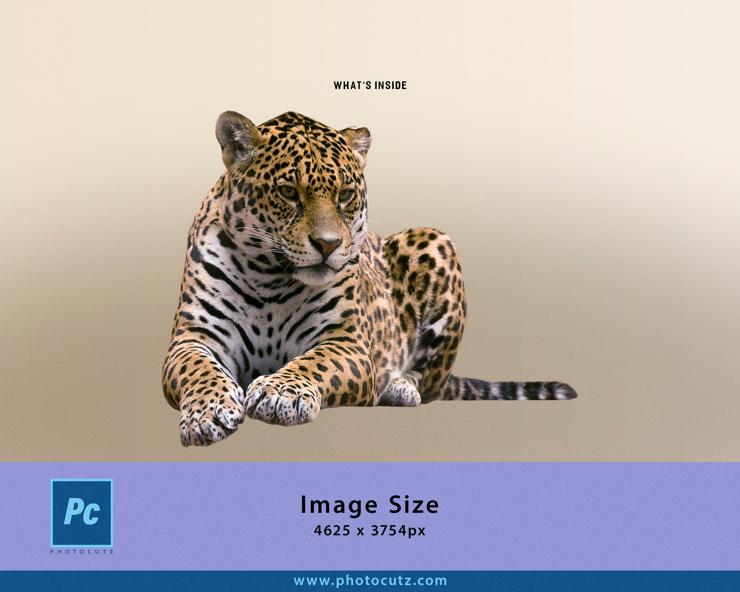 Jaguars High Res. Photoshop PNG Cutouts Overlays, Mini Pack Volume 1 ...