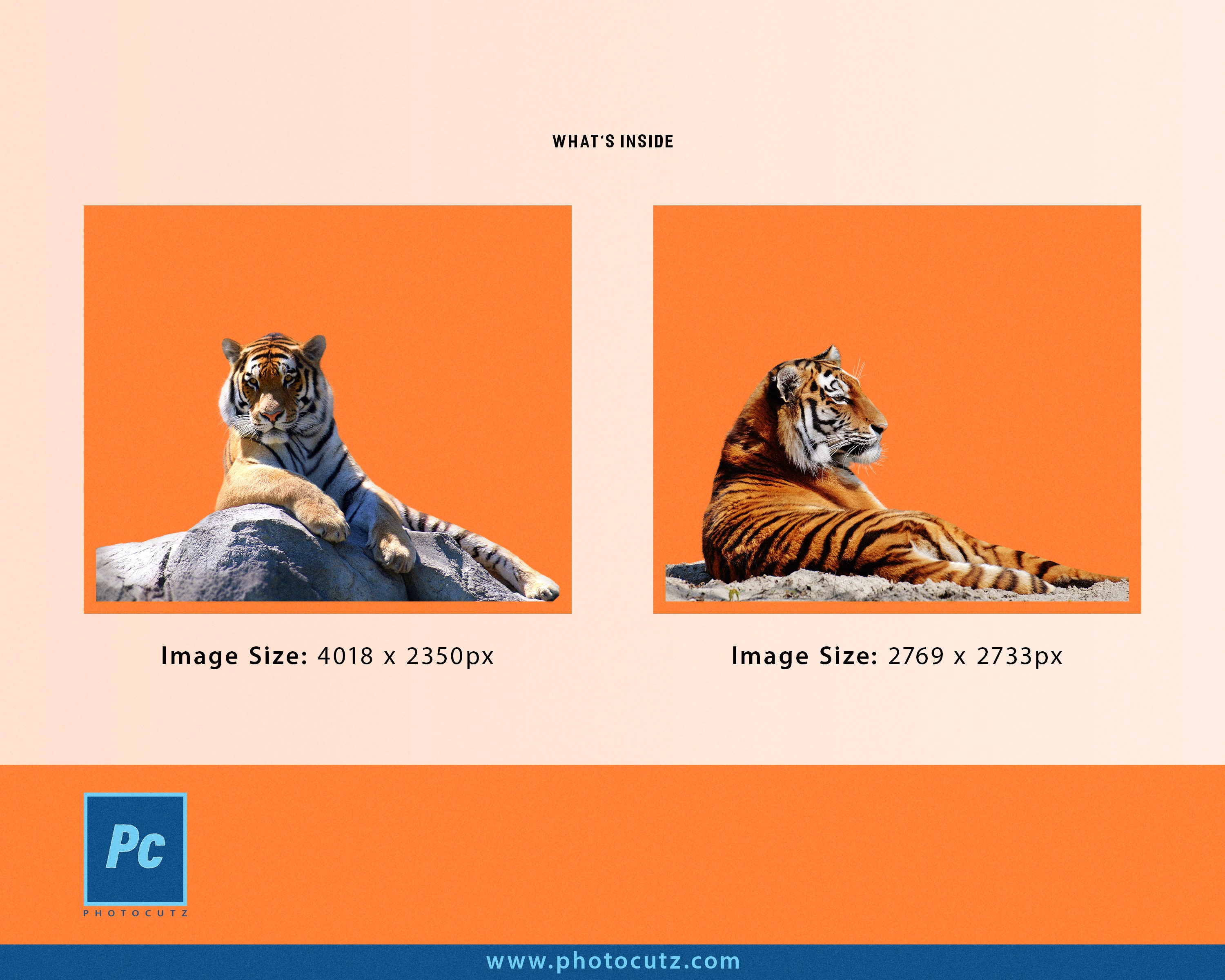 Tigers High Res. Photoshop PNG Cutouts Overlays, Mini Pack Volume 1 for ...