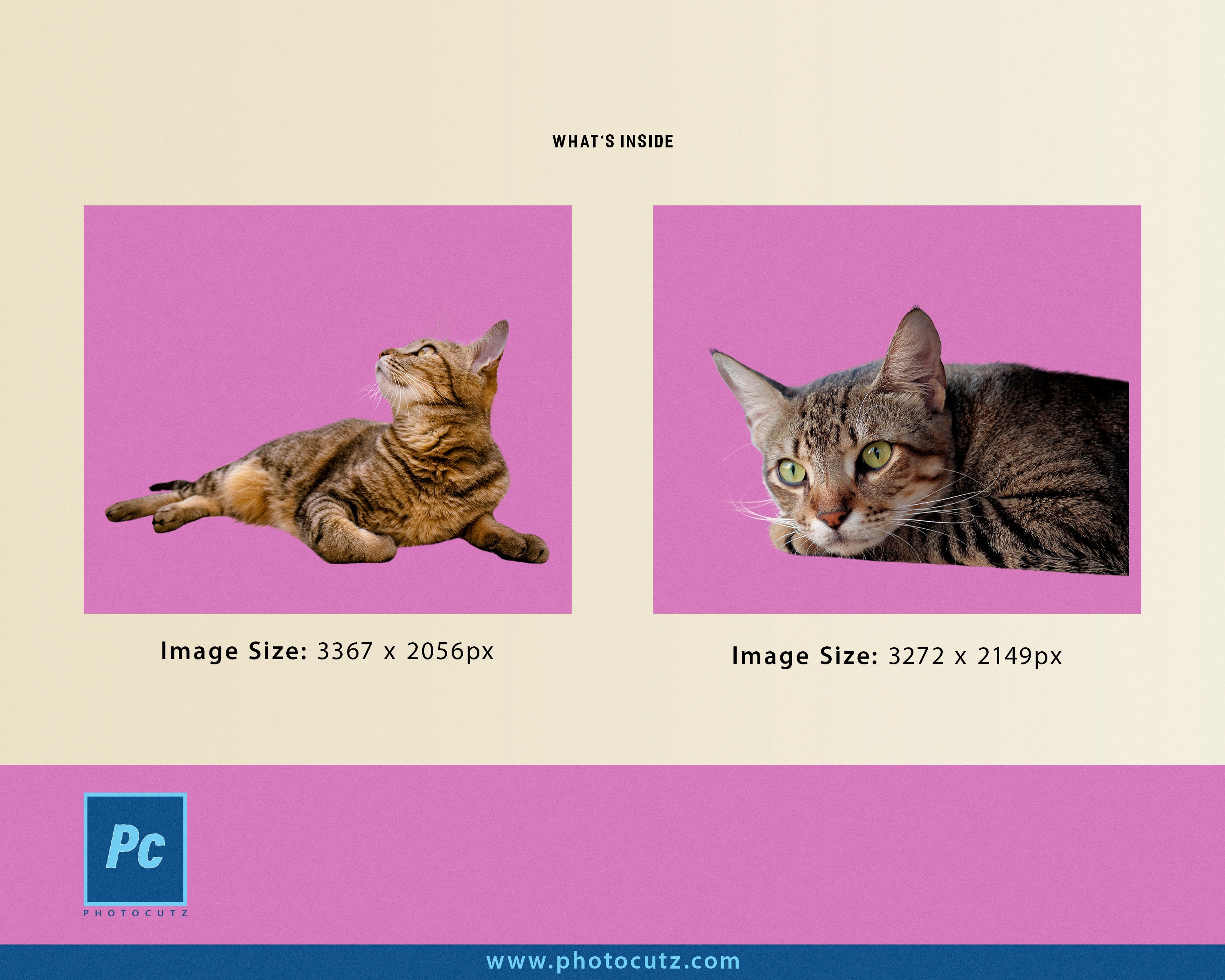 Cats High Res. Photoshop Photo PNG Cutouts Overlays, Mini Pack Volume 1 ...
