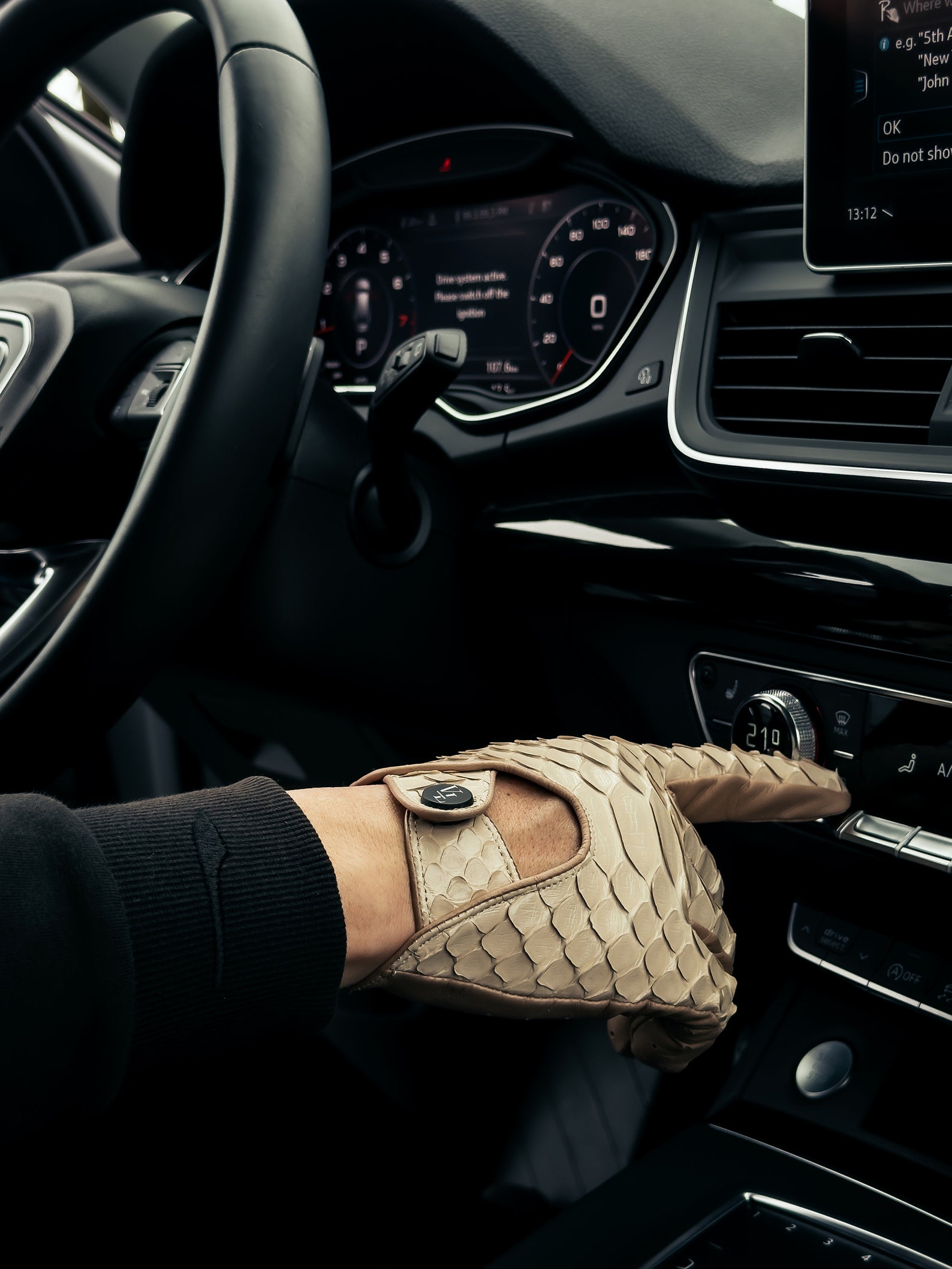 Python Driving Gloves, Luxury Leather Unisex Gloves, Driving Gloves. - Etsy