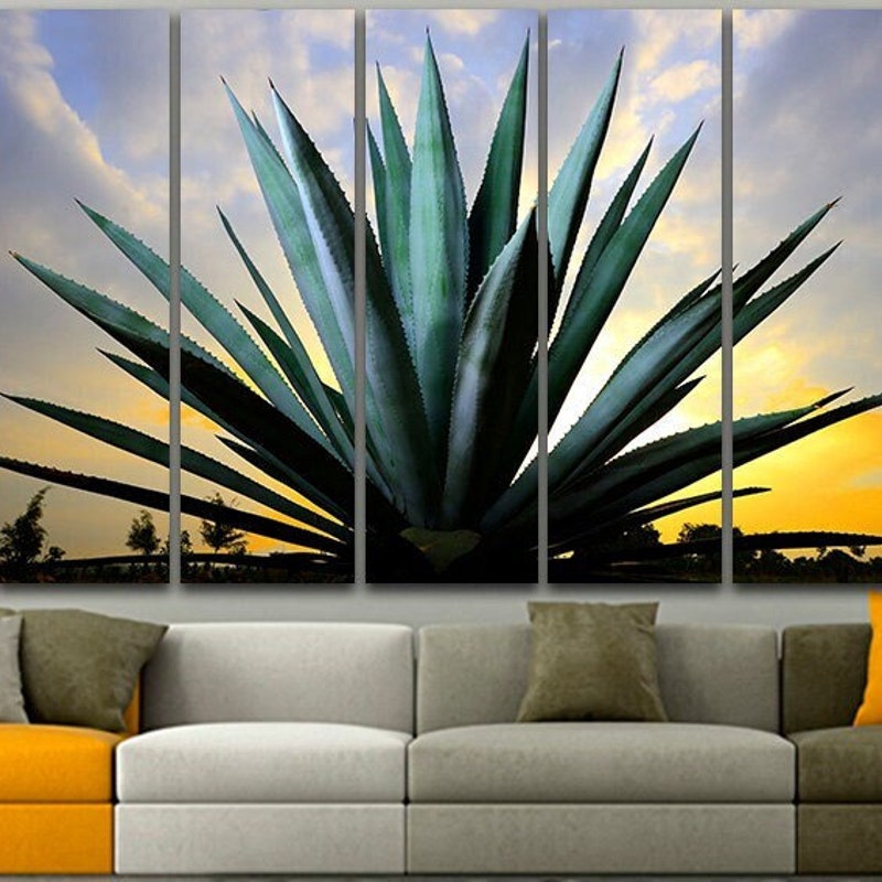 Blue Agave - Etsy