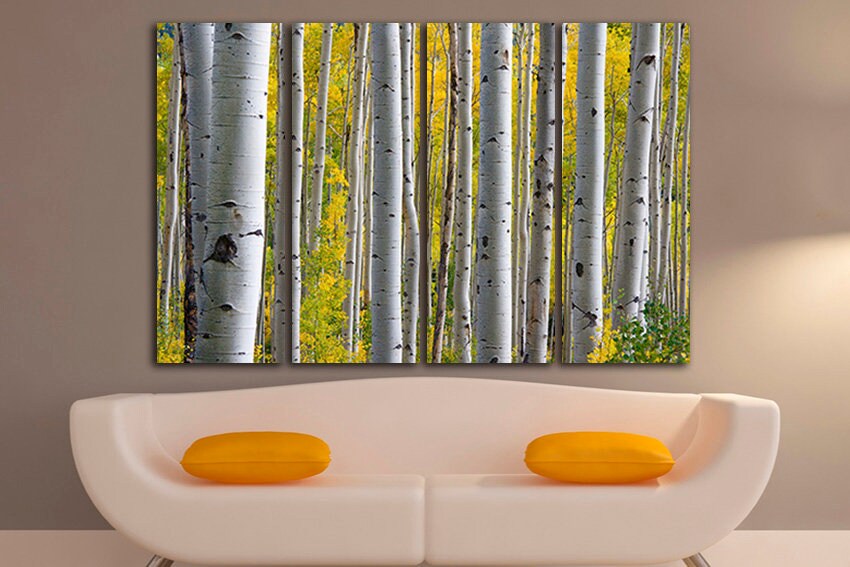 Birch Grove Print Large Canvas Art Forest Print Birch Grove - Etsy