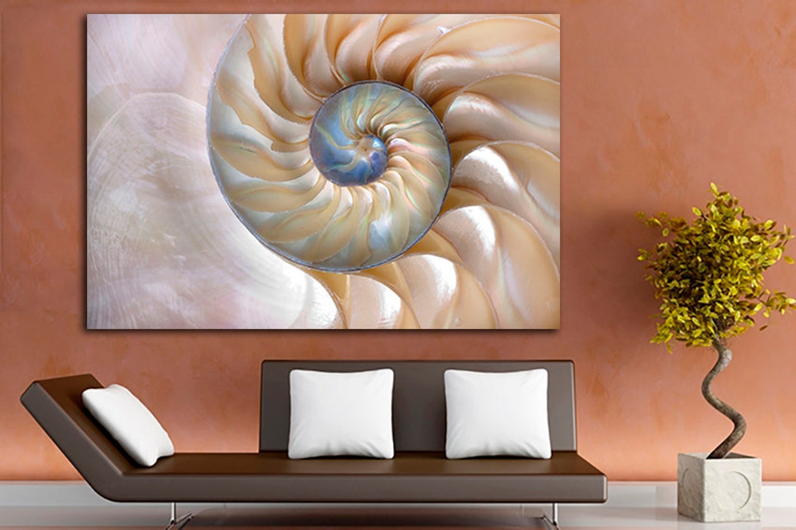 Shell Canvas Seashell Wall Art Nautilus Shell Sea Shell Art - Etsy