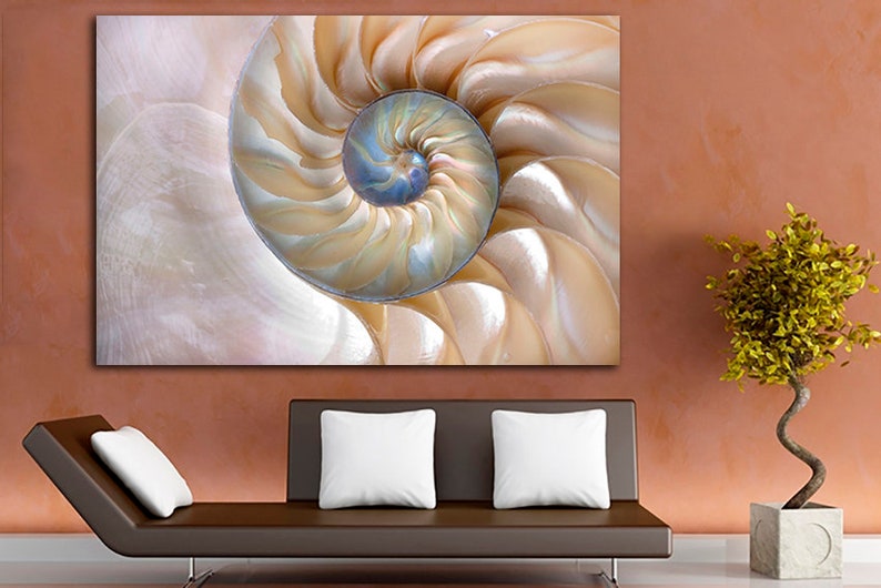 Shell Canvas Seashell Wall Art Nautilus Shell Sea Shell Art - Etsy