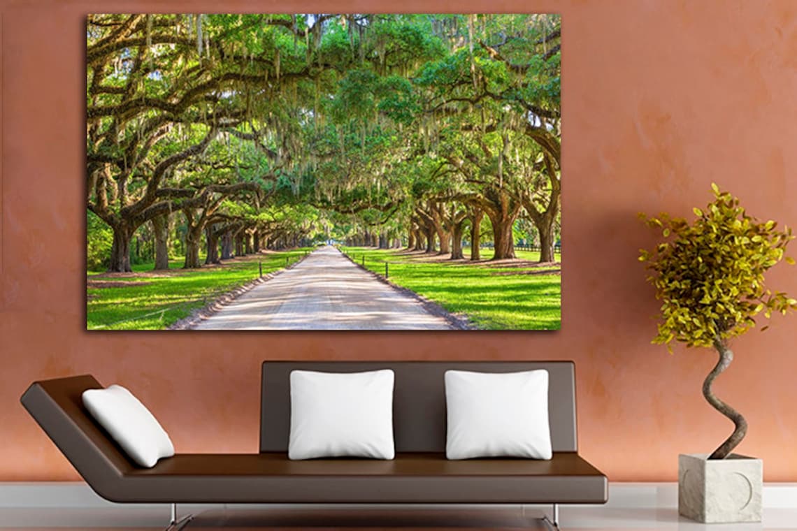 Wall Art Canvas Oak Trees Avenue of Oaks Forest Wall Decor - Etsy
