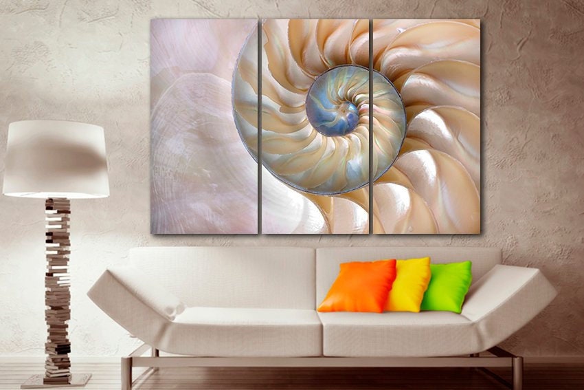 Shell canvas Seashell wall art Nautilus shell Sea shell art | Etsy