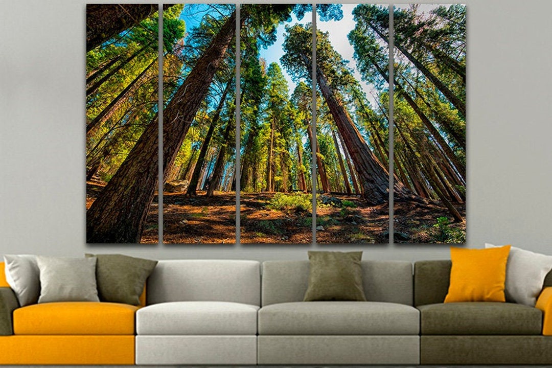 Sequoia Wall Art Forest Canvas Trees Décor Kings National Park Redwood ...