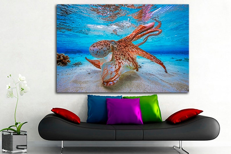 Octopus Canvas Octopus Art Gallery Wall Set Octopus Print - Etsy