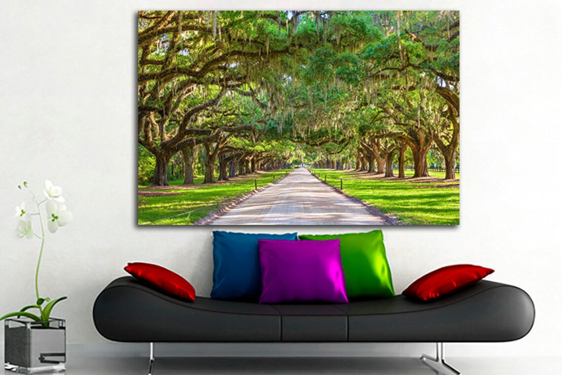 Wall Art Canvas Oak Trees Avenue of Oaks Forest Wall Decor - Etsy