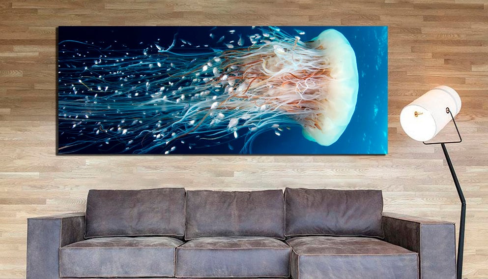 Jellyfish Canvas Sea Life Wall Art Animal Print Ocean | Etsy