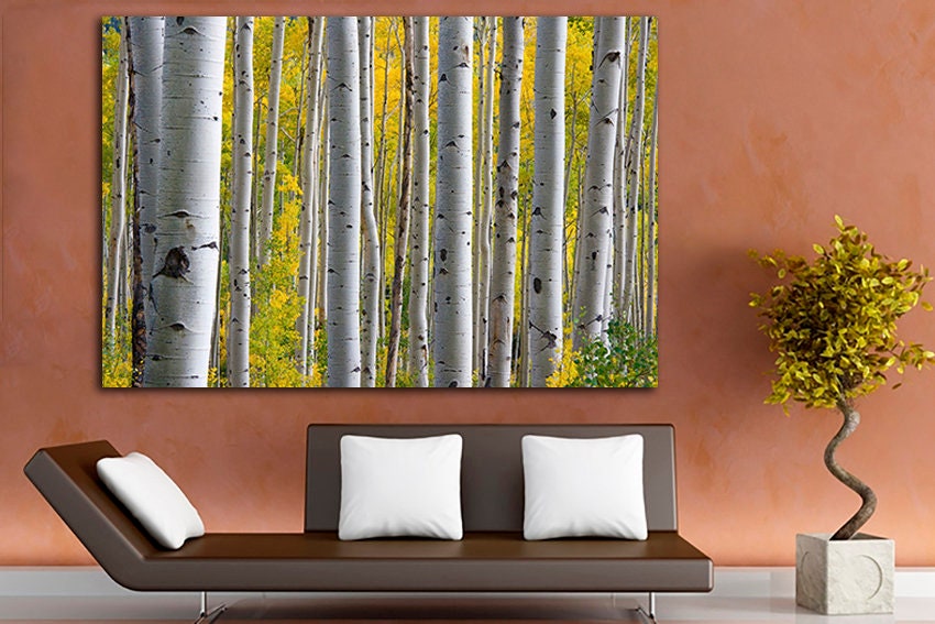 Birch Grove Print Large Canvas Art Forest Print Birch Grove - Etsy