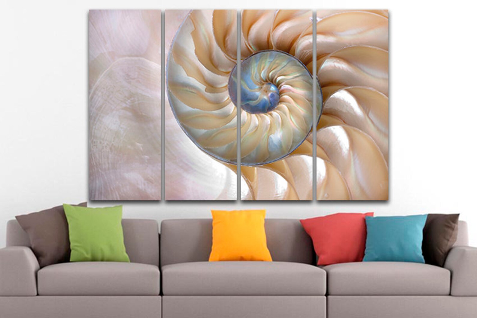Shell Canvas Seashell Wall Art Nautilus Shell Sea Shell Art - Etsy