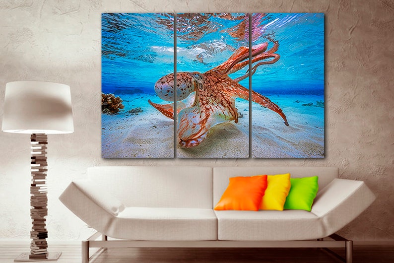 Octopus Canvas Octopus Art Gallery Wall Set Octopus Print | Etsy