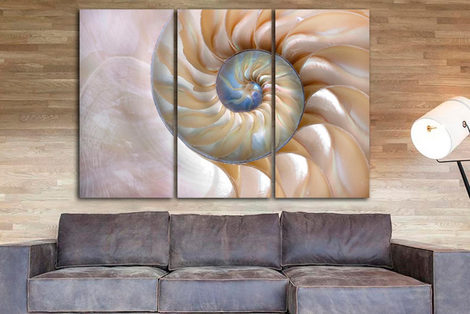 Shell Canvas Seashell Wall Art Nautilus Shell Sea Shell Art - Etsy