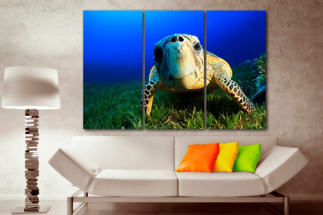 Turtle Decor Sea Turtle Animals Decor Atlantic Ocean Life Sealife Print ...