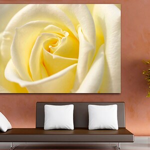 Rose Art Prints Flowers Poster White Rose Print Rose Canvas Flowers ...