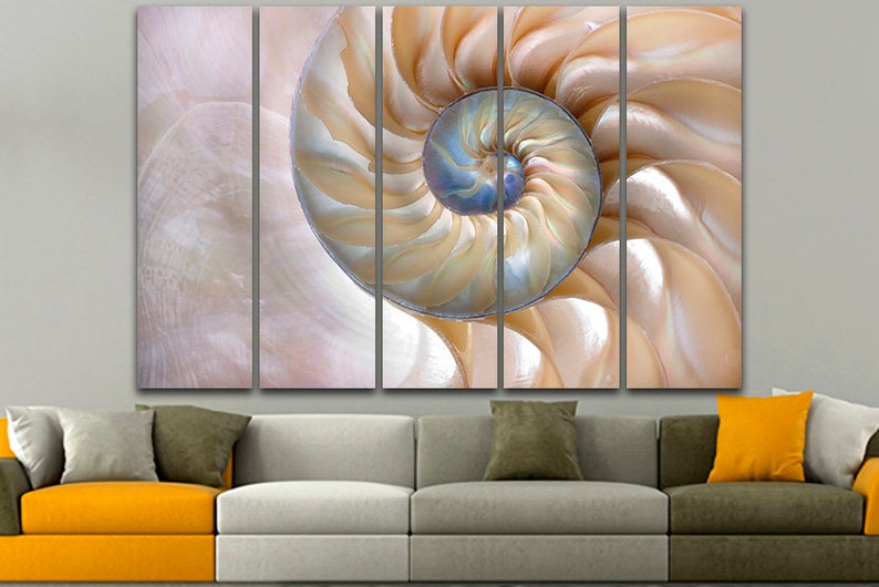 Shell Canvas Seashell Wall Art Nautilus Shell Sea Shell Art | Etsy