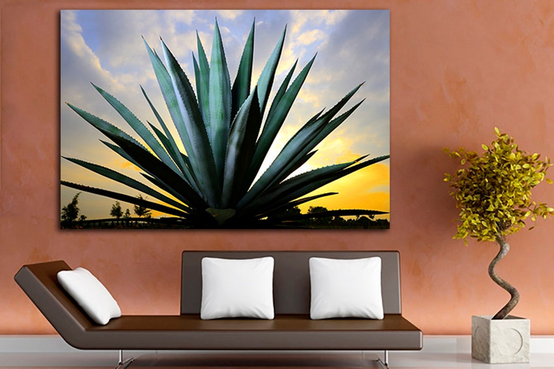 Blue Agave Wall Art Floral Print Agave Decor Agave Canvas Cactus ...