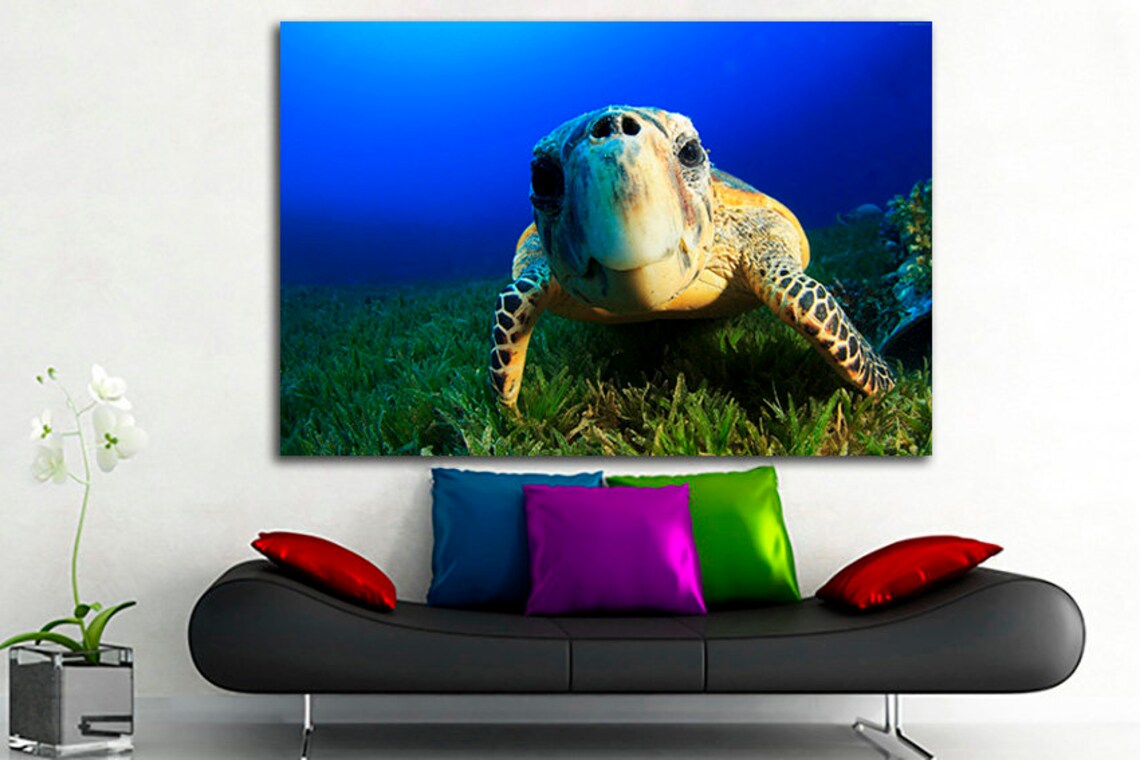 Turtle Decor Sea Turtle Animals Decor Atlantic Ocean Life - Etsy