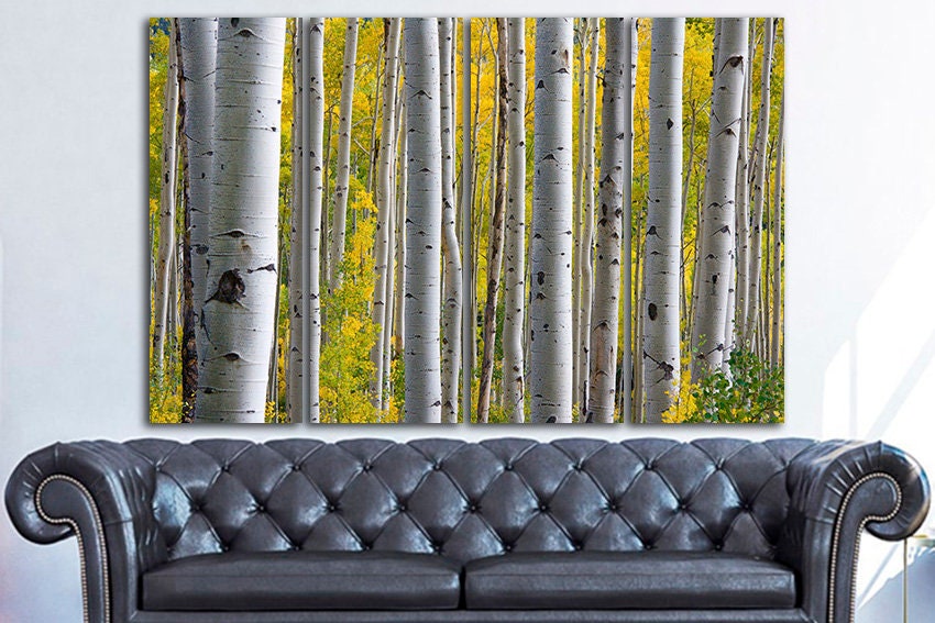Birch Grove Print Large Canvas Art Forest Print Birch Grove - Etsy