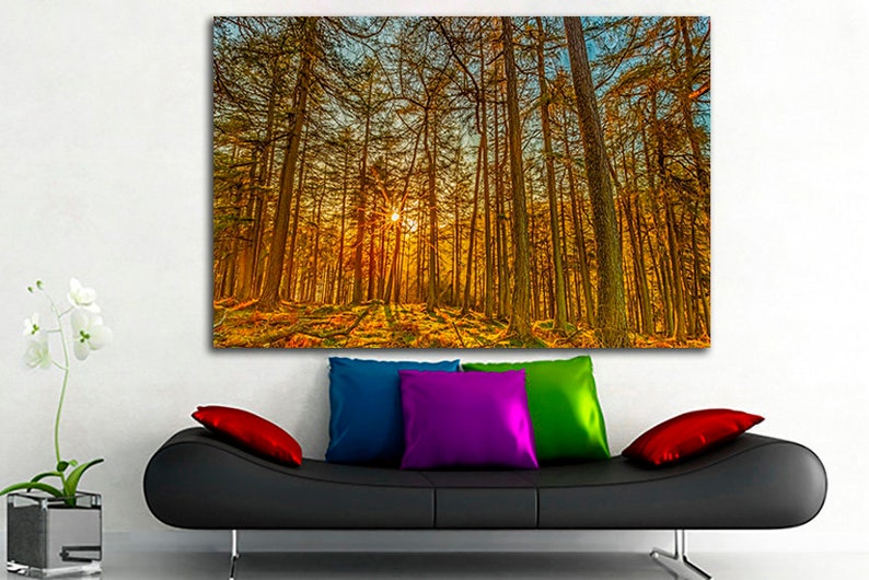 5 panel canvas Forest canvas set Gallery wrap art Forest print | Etsy