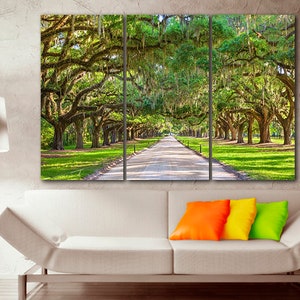 Wall Art Canvas Oak Trees Avenue of Oaks Forest Wall Decor Forest ...