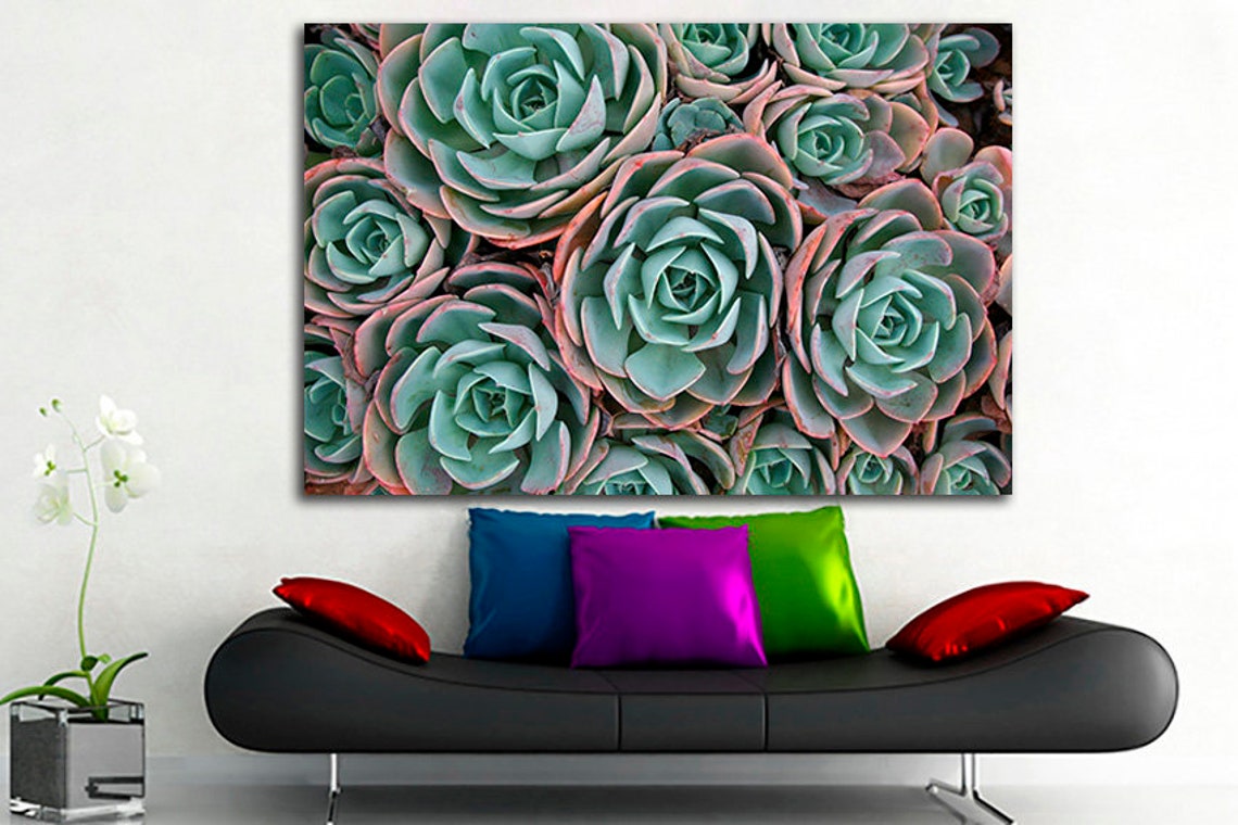 Succulent Canvas Set Flower Wall Print Printable Suculent Flowers Decor ...