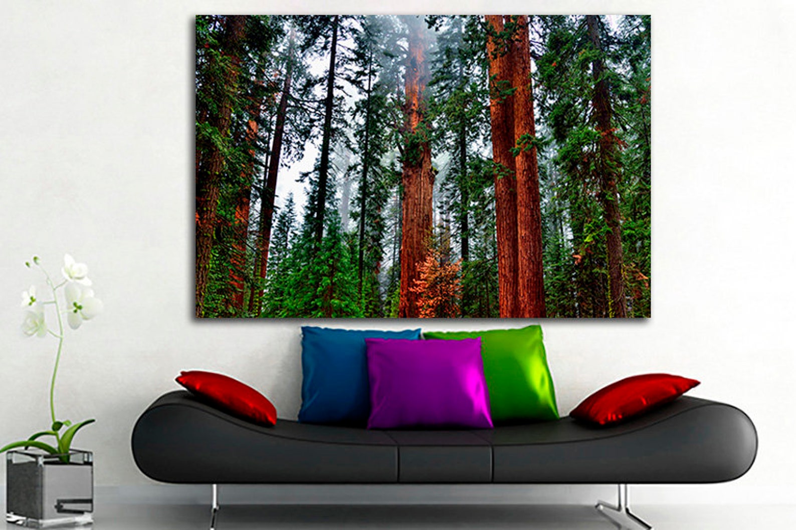 Sequoia Canvas Forest Wall Art Redwood Print California Decor | Etsy