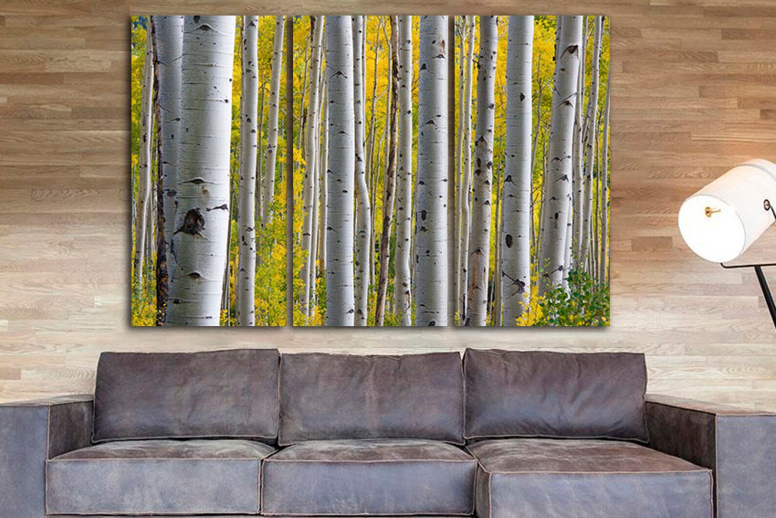 Birch Grove Print Large Canvas Art Forest Print Birch Grove Photo Birch ...