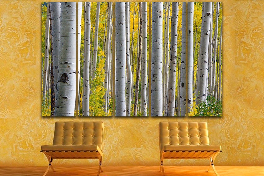 Birch Grove Print Large Canvas Art Forest Print Birch Grove - Etsy