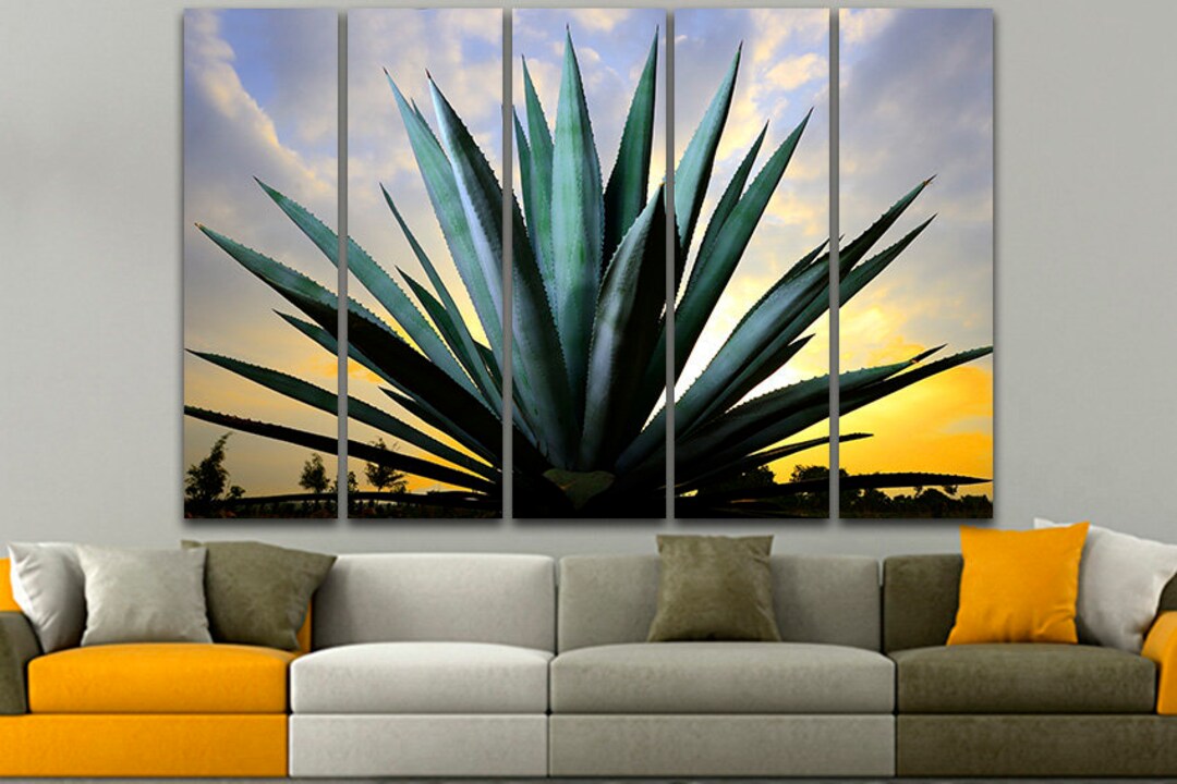 Blue Agave Wall Art Floral Print Agave Decor Agave Canvas - Etsy