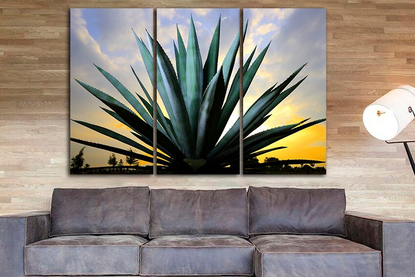 Blue Agave Wall Art Floral Print Agave Decor Agave Canvas Cactus ...