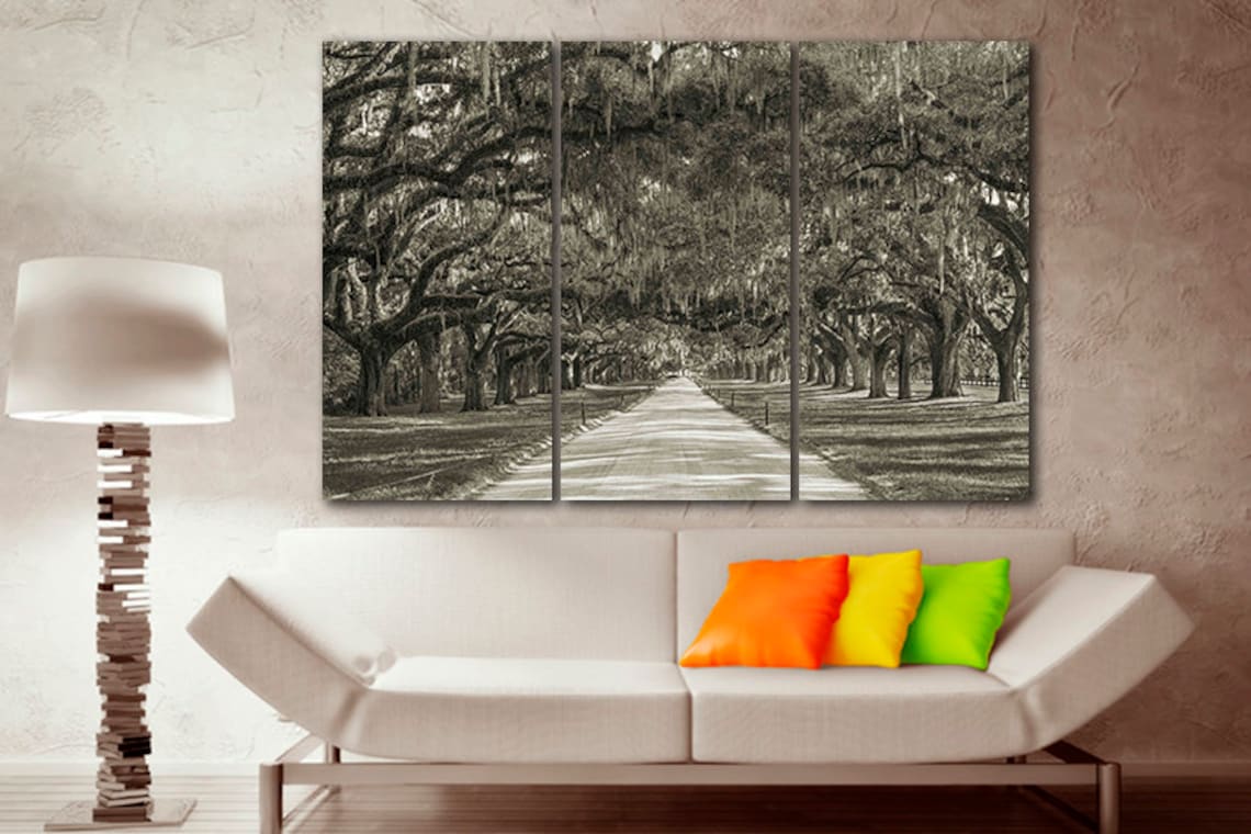 Multi Canvas Art Tree Wall Art Oak Trees Plantation Trees - Etsy