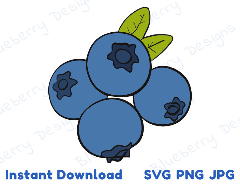 Blueberries Svg, Blueberry Illustration, Botanical Svg, Blueberry Svg ...