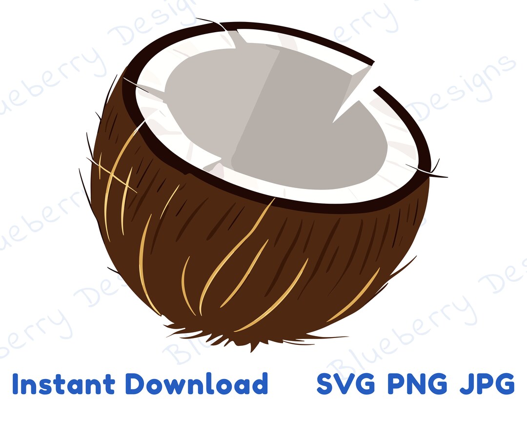Coconut Vector Image, Coconut Svg, Coconut Clipart, Coconut Digital ...