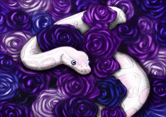 Ball Python With Roses Floral Snake Digital Download Wall - Etsy