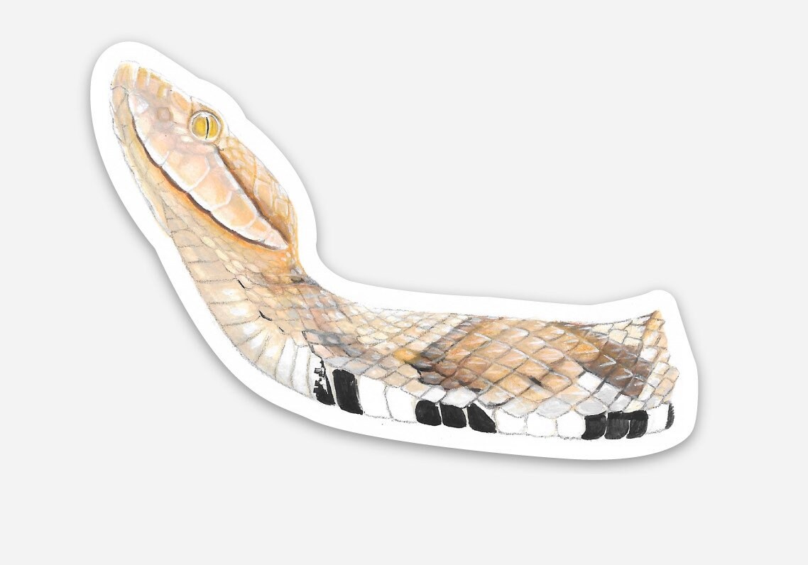 Copperhead Sticker - Etsy