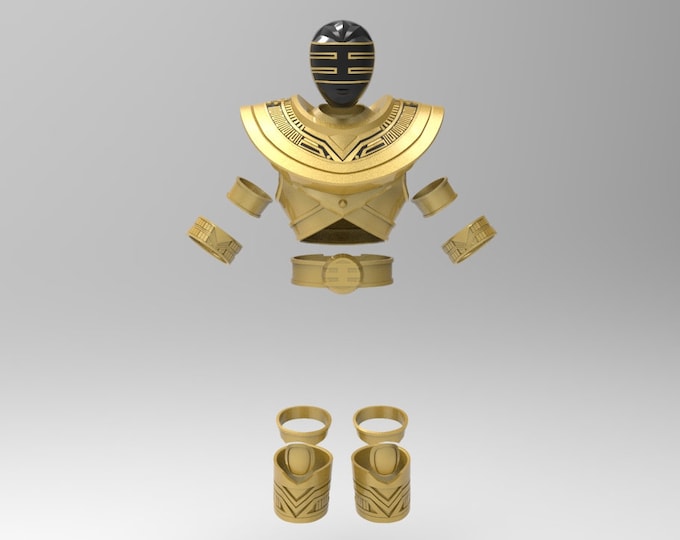 Zeo Gold / King Ranger Shield - Etsy