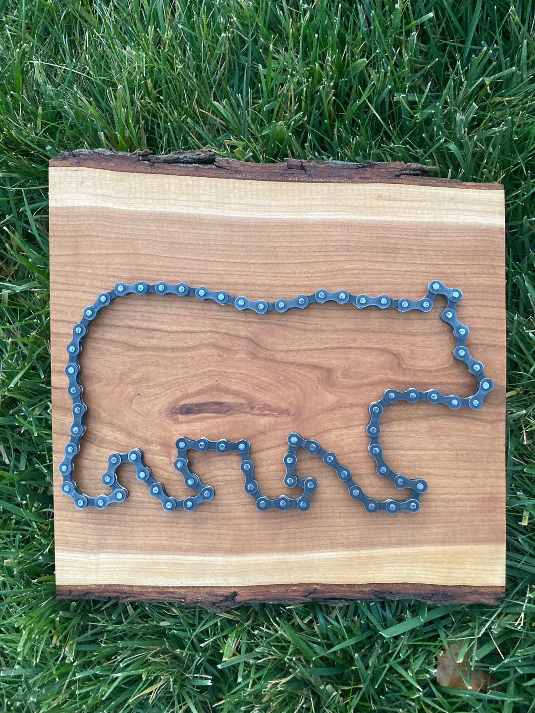 Bicycle Chain Bear on Live Edge Cherry - Etsy