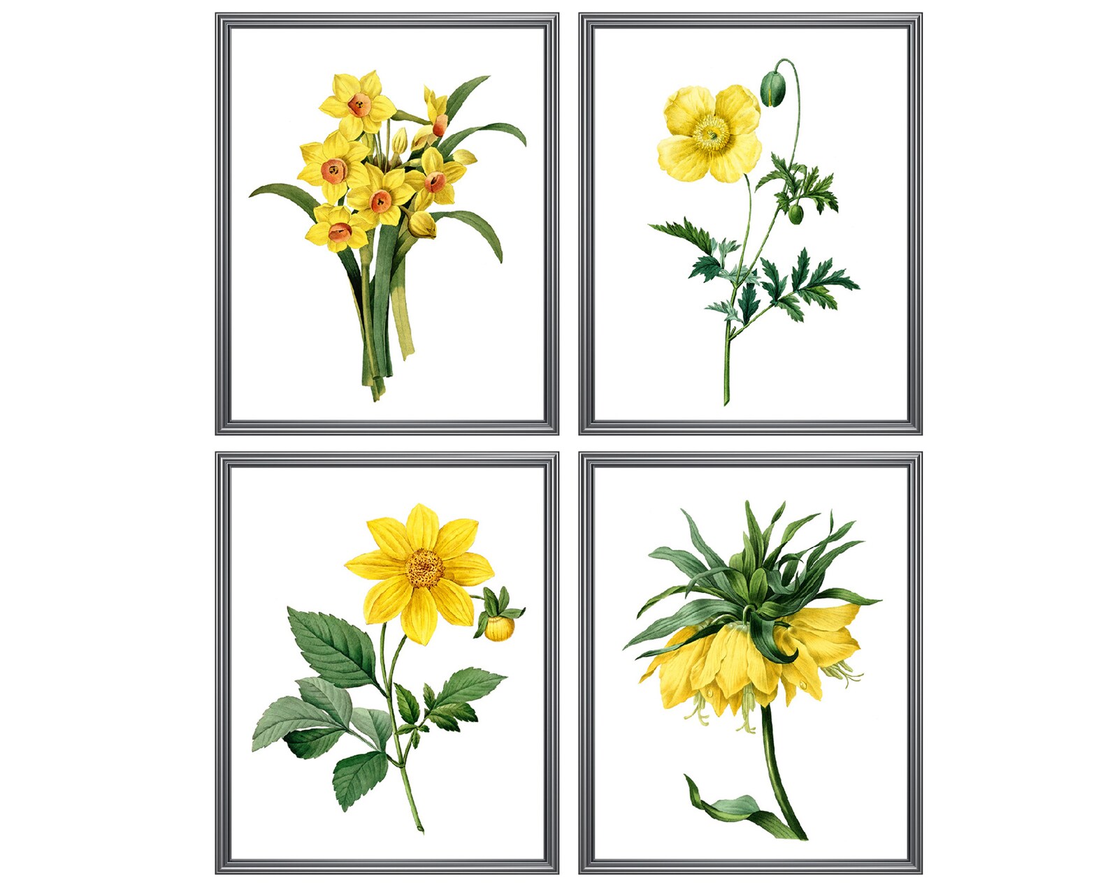 Yellow Flowers Printable Set of 4 Vintage Flower - Etsy