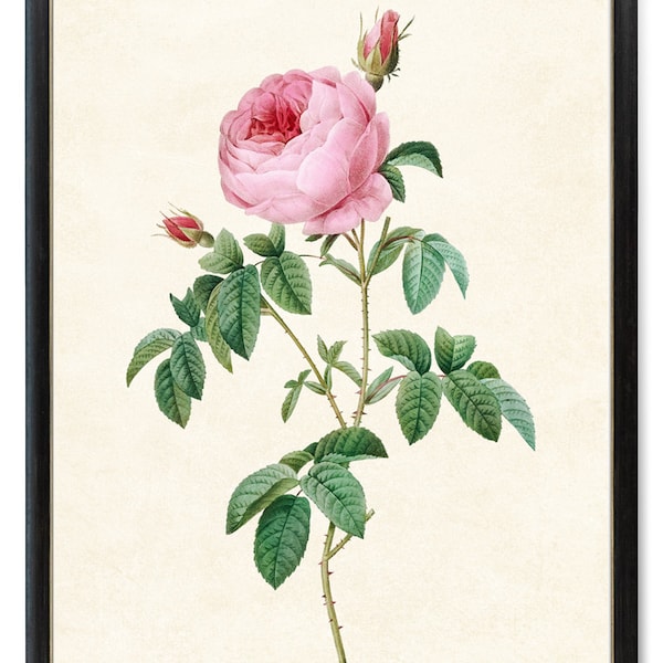 Downloadable Print - Etsy