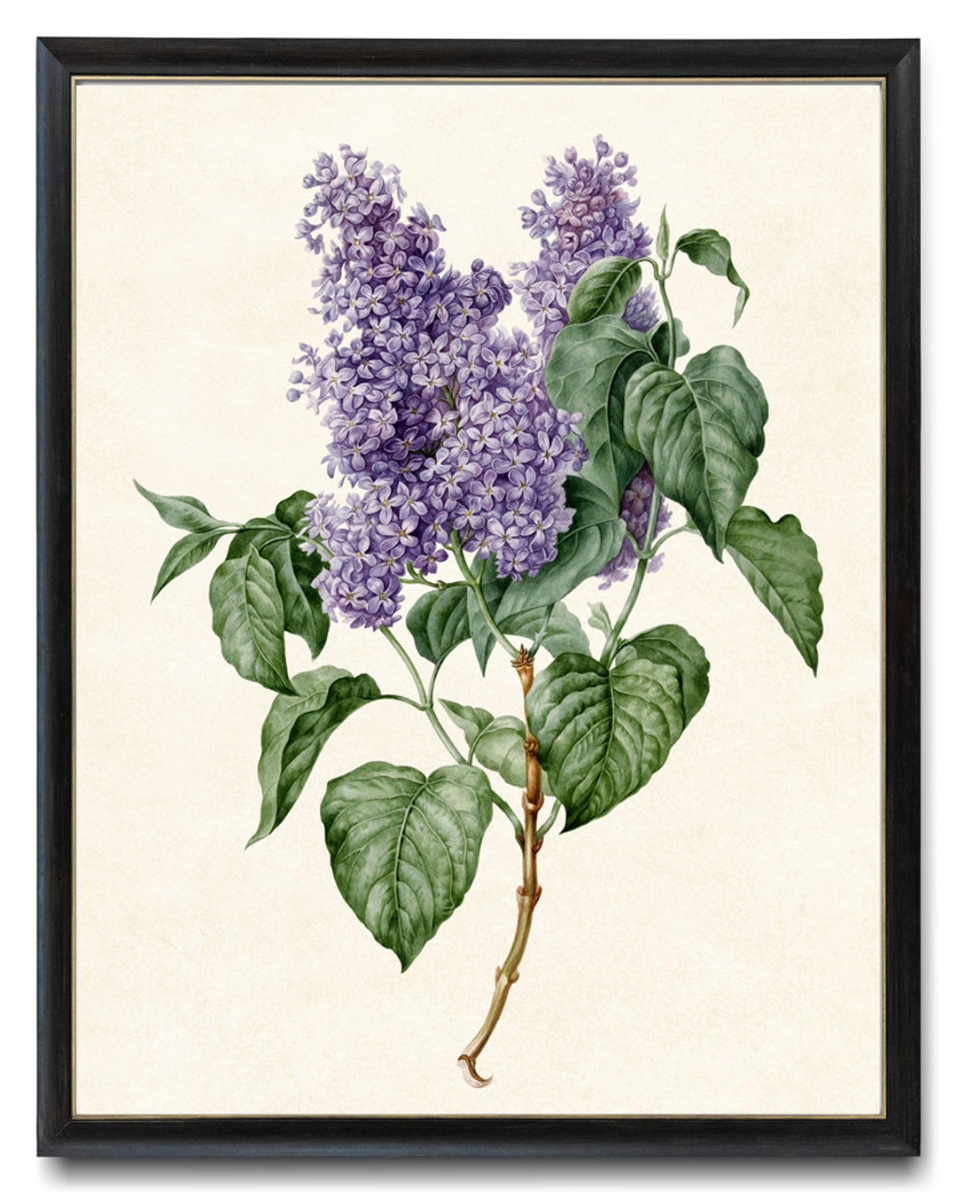 Print up to 24x30 Inches Vintage Lilac Branch Art Print, Digital ...