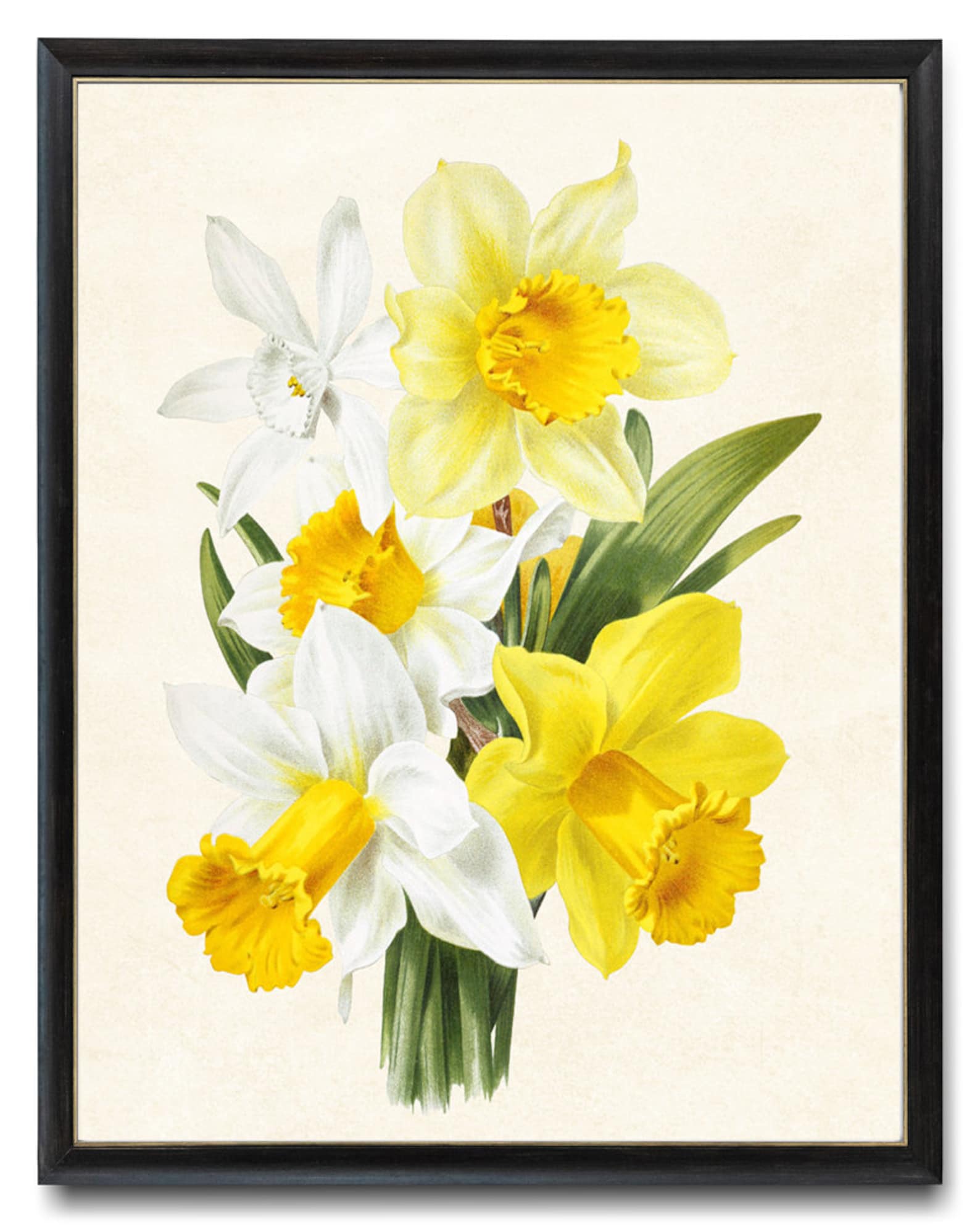 Spring Flowers Art Print Digital Download Daffodils Vintage | Etsy