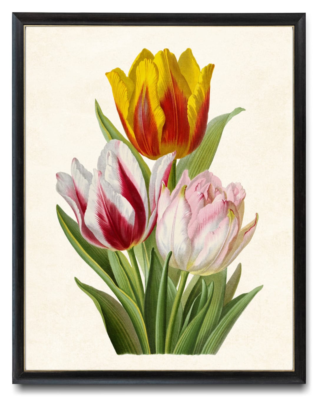 Vintage Tulips Art Print, Digital Download, Tulip Spring Flowers ...