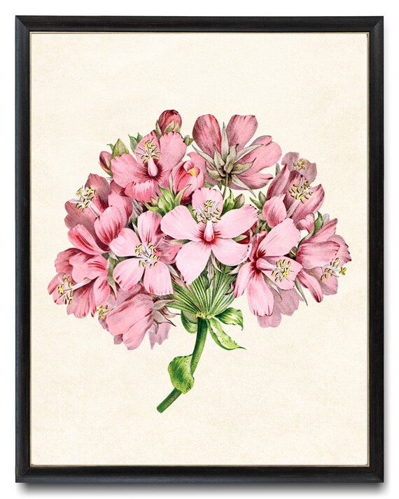 Pink Flowers Printable 'pinkball' Tropical Hydrangea - Etsy