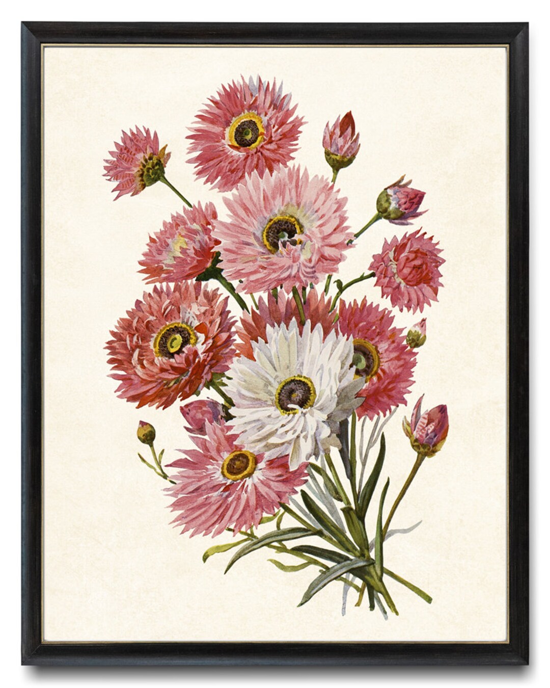 Pink Daisies Digital Download, 'paper Daisy' Printable Vintage ...