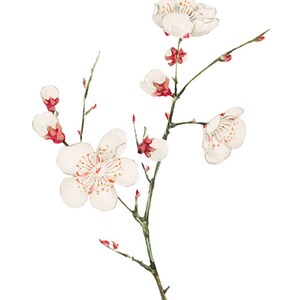 Pink Japanese Art Flowers, Digital Download, Antique Floral ...
