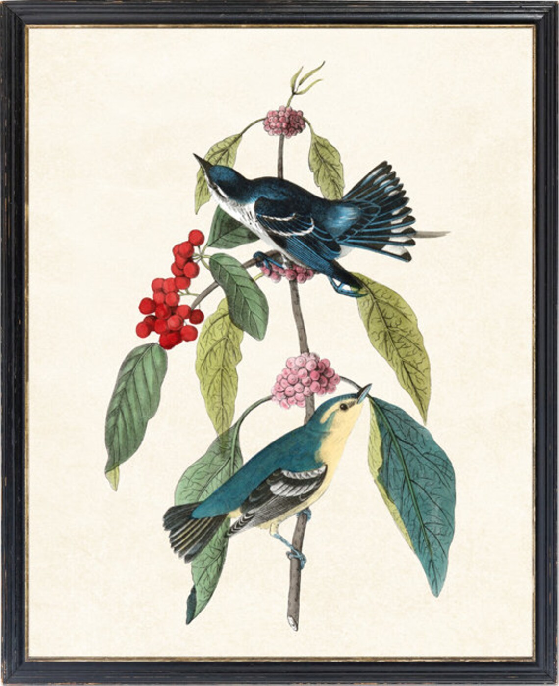 Bird and Botanical Digital Print, Vintage Illustration, Audubon Art ...
