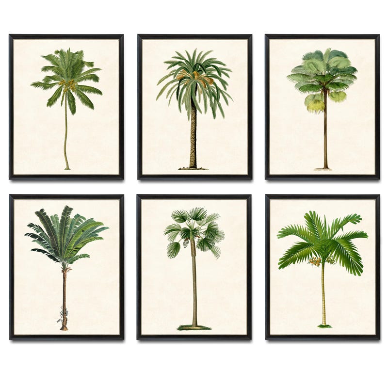 Palm Tree Art Paintings - Etsy UK