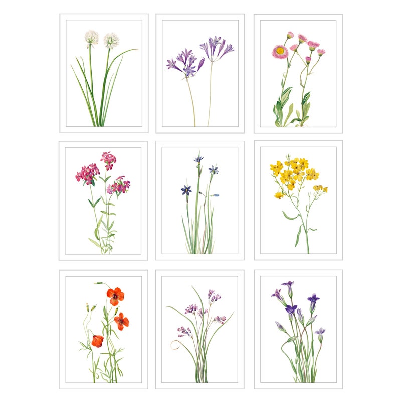 Wildflower Print - Etsy